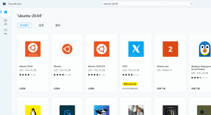 使用 WSLg – IYATT-yx 的博客