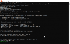 使用 WSLg – IYATT-yx 的博客
